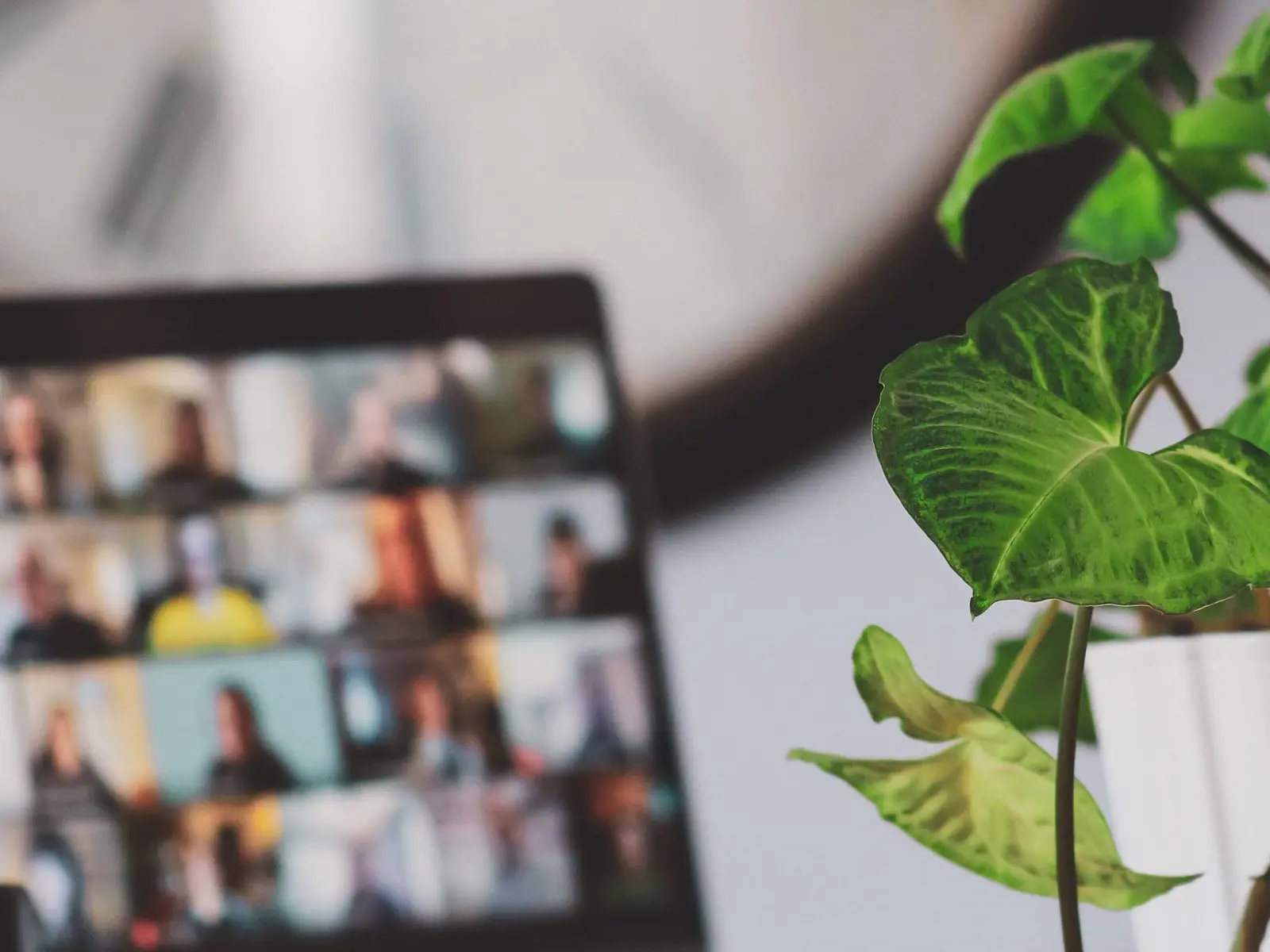 Enable’s Ultimate Guide to Successful Video Conferencing | Enable ...